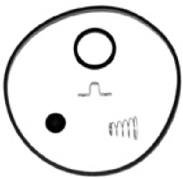 FS-5210K Rebuild Kit for Haldex A72420 Alcohol Evaporator | FleetSpec